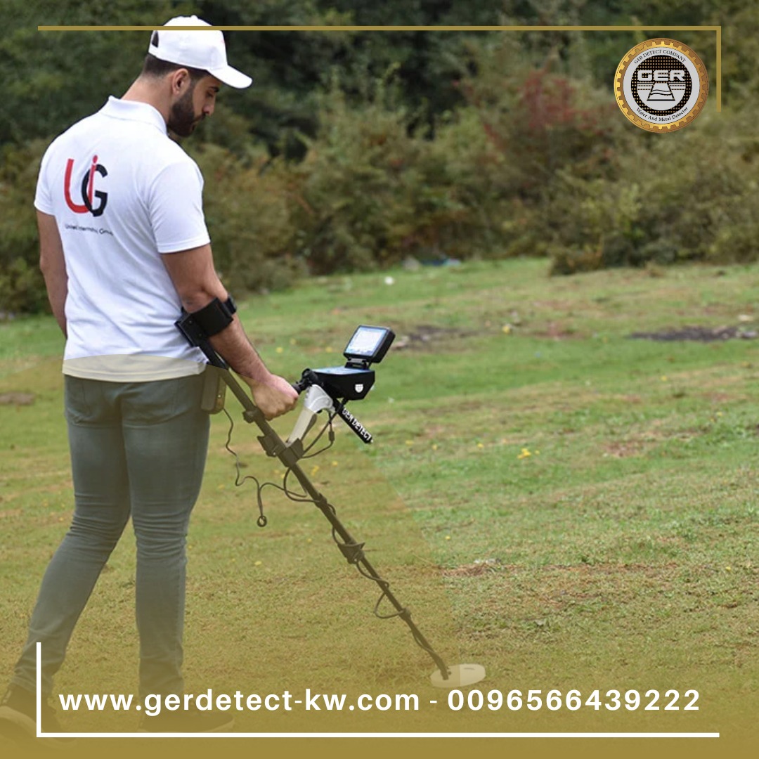 A Comprehensive Guide to Buying Metal Detectors: Types, Prices, and ...